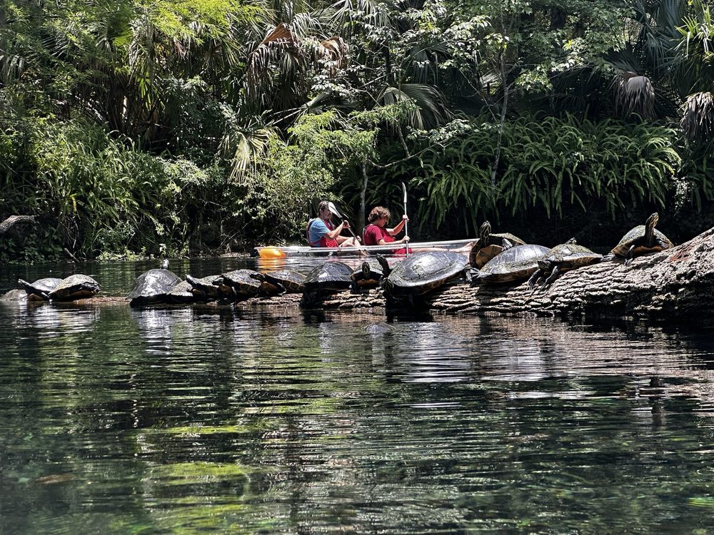 SILVER SPRINGS KAYAKING - Updated December 2025 - 50 Photos & 17 ...