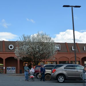 THE CORNER CRUST - Updated July 2025 - 55 Photos & 69 Reviews - 250 Oak ...