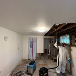 Best Restoration Companies Near Me - April 2025: Find Nearby ...