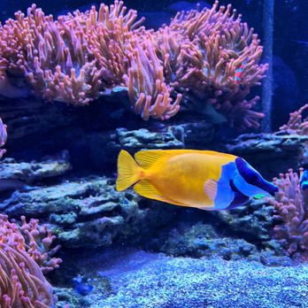 JINDU ASIAN CUISINE - Updated September 2025 - 182 Photos & 117 Reviews ...