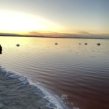 ALVISO MARINA COUNTY PARK - Updated June 2024 - 1499 Photos & 207 ...