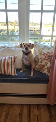 GOMEZ AUTO REPAIR - Updated August 2024 - 22 Photos & 39 Reviews - 710 ...