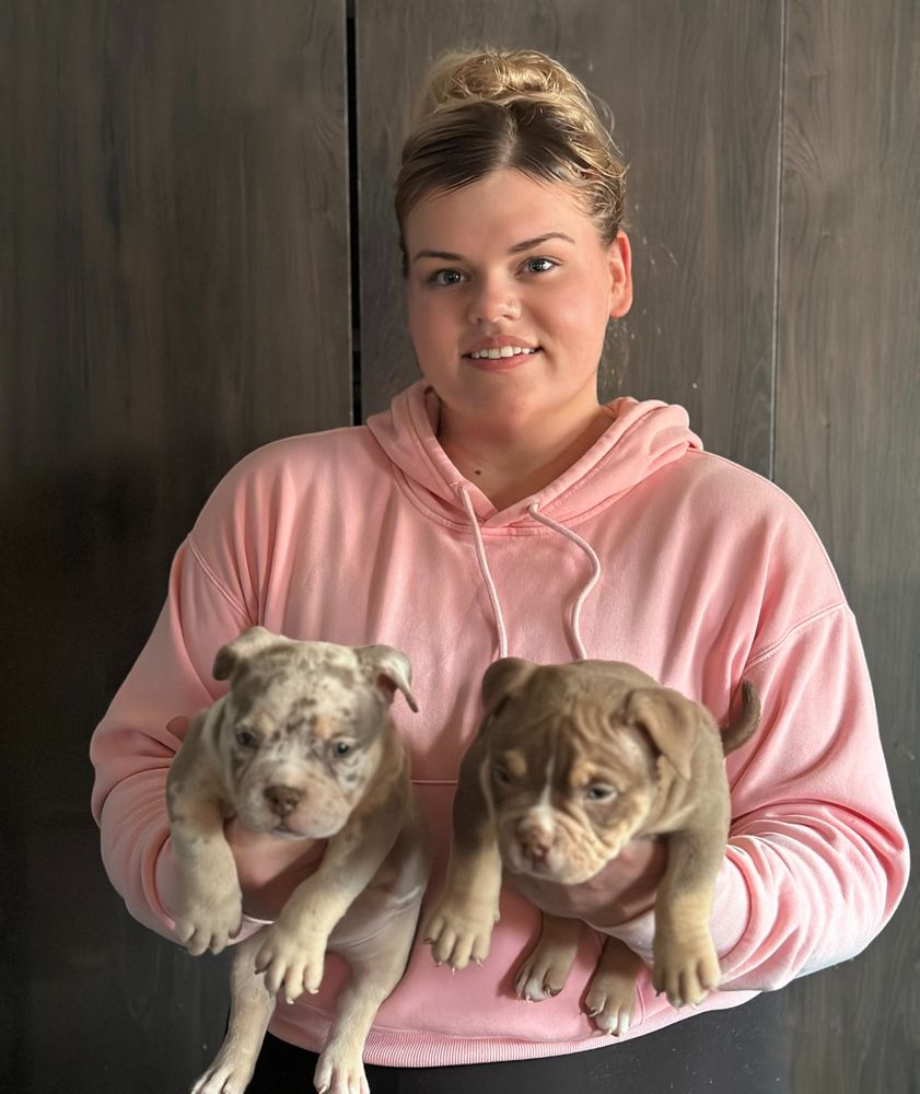 RAP STAR KENNELS - Updated September 2025 - Request Information ...