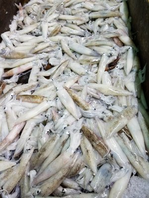 J DELUCA FISH COMPANY - 39 Photos & 11 Reviews - Seafood Markets - 2194 ...