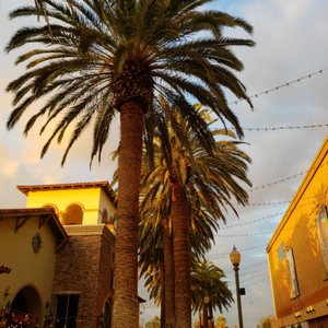 GALLERIA AT TYLER - 160 Photos & 214 Reviews - Shopping Centers - 1299 ...