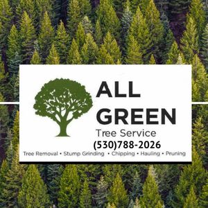 OUT ON A LIMB TREE SERVICE - Updated January 2025 - 23 Photos - Rough ...