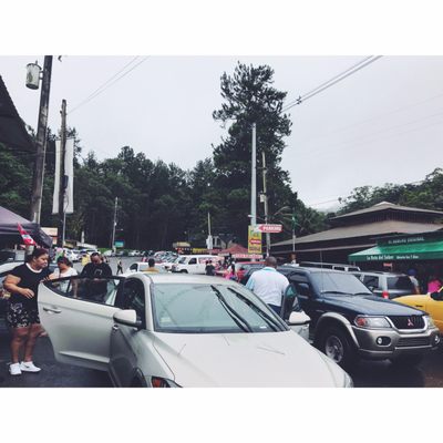 GUAVATE - Updated December 2025 - 24 Photos - Carretera PR-184 km 27 ...