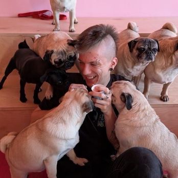 CUPPA PUG - Updated December 2024 - 46 Photos & 13 Reviews - 607 W 9th ...