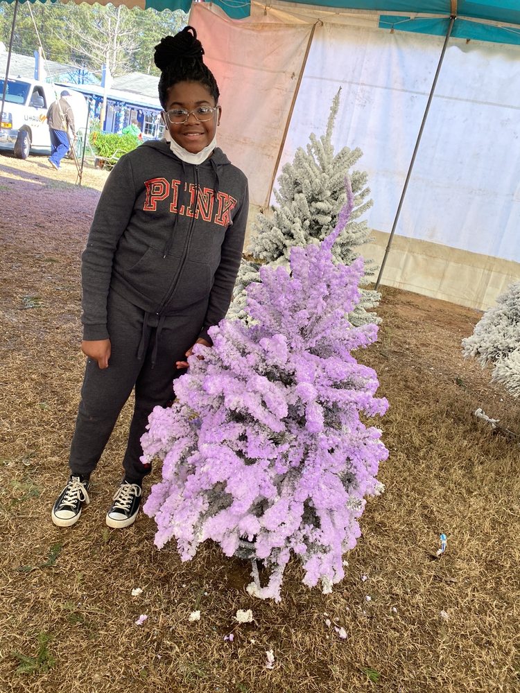 YULE FOREST - 63 Photos & 30 Reviews - 3565 Hwy 155 N, Stockbridge, GA ...