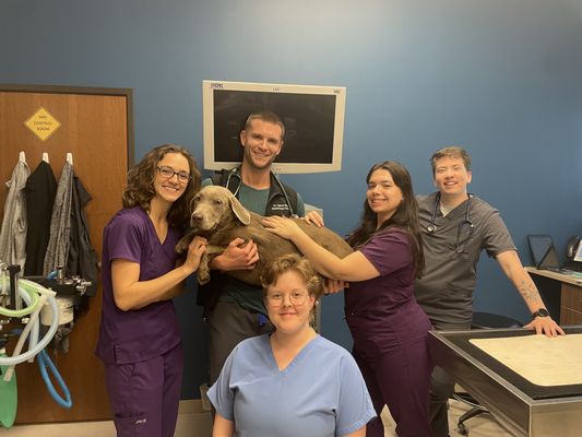 AUSTIN VETERINARY EMERGENCY AND SPECIALTY - Updated October 2025 - 118 ...