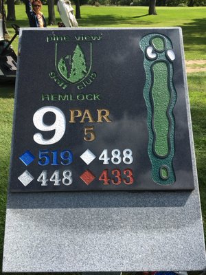 PINE VIEW GOLF CLUB - Updated October 2025 - 52065 Pulver Rd, Three ...