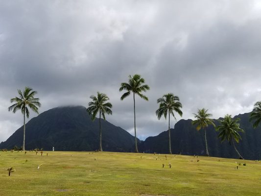 HAWAIIAN MEMORIAL PARK CEMETERY & FUNERAL SERVICES - Updated August ... HAWAIIAN MEMORIAL PARK CEMETERY & FUNERAL SERVICES - Updated August ...