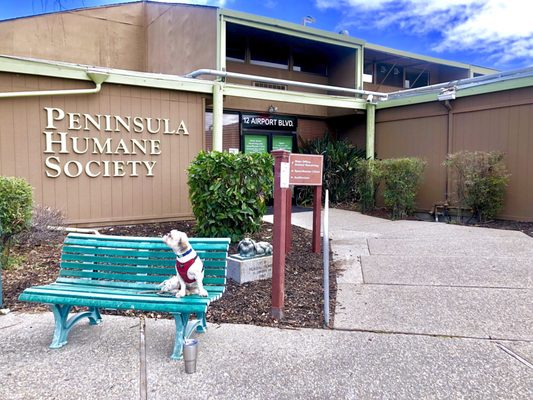 PENINSULA HUMANE SOCIETY & SPCA - 72 Photos & 100 Reviews - 12 Airport ...