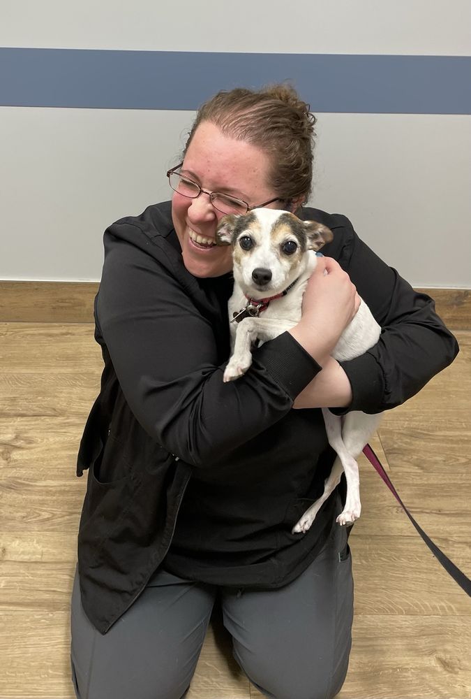 EASTERN PA VETERINARY MEDICAL CENTER - Updated December 2025 - 21 ...