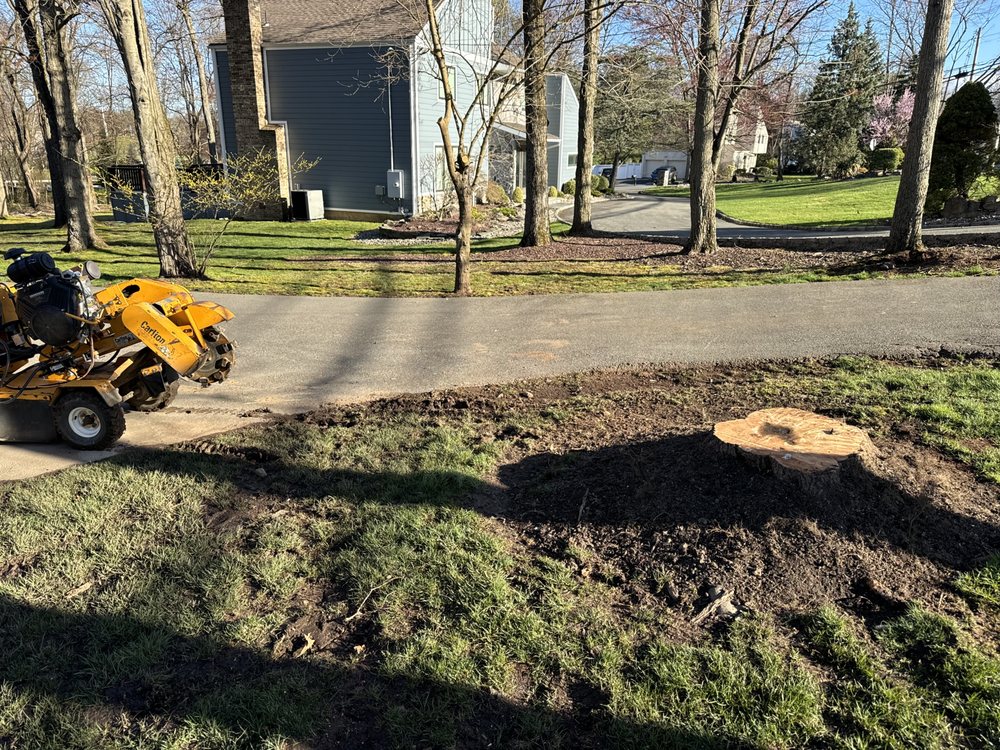 WOLF STUMP GRINDING - Updated August 2025 - Request a Quote - 11 Photos ...