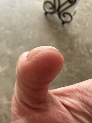 NEW YORK NAILS II Updated February 2025 16 Photos 25 Reviews 2494 S Rd Poughkeepsie New York Nail Salons Phone Number Yelp