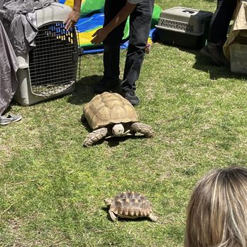 RAPTOR EVENTS - 67 Photos & 30 Reviews - Yelp