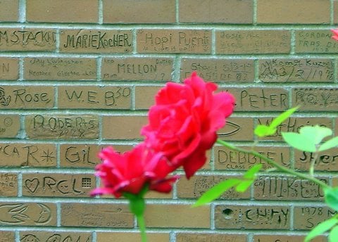 WOODBURN PUBLIC LIBRARY - Updated July 2025 - 280 Garfield St, Woodburn ...