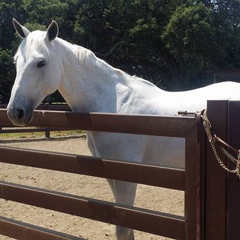 STANFORD RED BARN - Updated October 2025 - 20 Photos & 12 Reviews - 621 ...