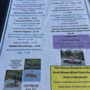 SILVER DOLPHIN - Updated December 2025 - 206 Photos & 171 Reviews ...