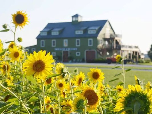 THOUSAND ACRE FARM WEDDING & EVENT VENUE - 126 Photos & 17 Reviews ...