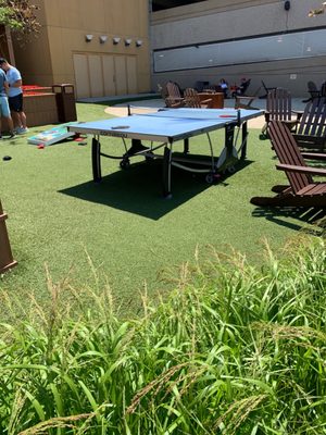 BORGATA OUTDOOR POOL - 32 Photos & 13 Reviews - Swimming Pools - 1 ...