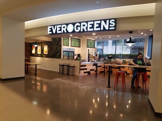 EVERGREENS - Updated December 2025 - 12 Photos & 10 Reviews - 701 5th ...