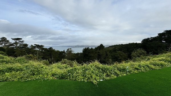 SAN FRANCISCO VA MEDICAL CENTER - Updated December 2025 - 86 Photos ...