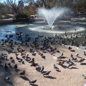 UNM DUCK POND - Updated January 2026 - 105 Photos & 16 Reviews - 401 ...
