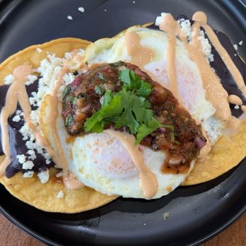 NOSH NAPA - Updated August 2024 - 130 Photos & 91 Reviews - 641 Trancas ...