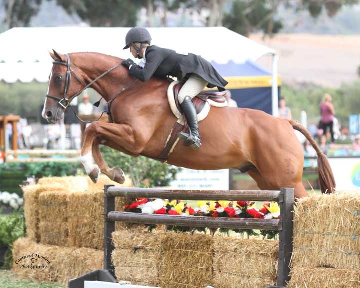 CROSSROADS FARM - Updated January 2026 - 25 Photos & 12 Reviews - 460 E ...