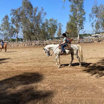 NORCO EQUESTRIAN ACADEMY - Updated December 2025 - 47 Photos & 37 ...
