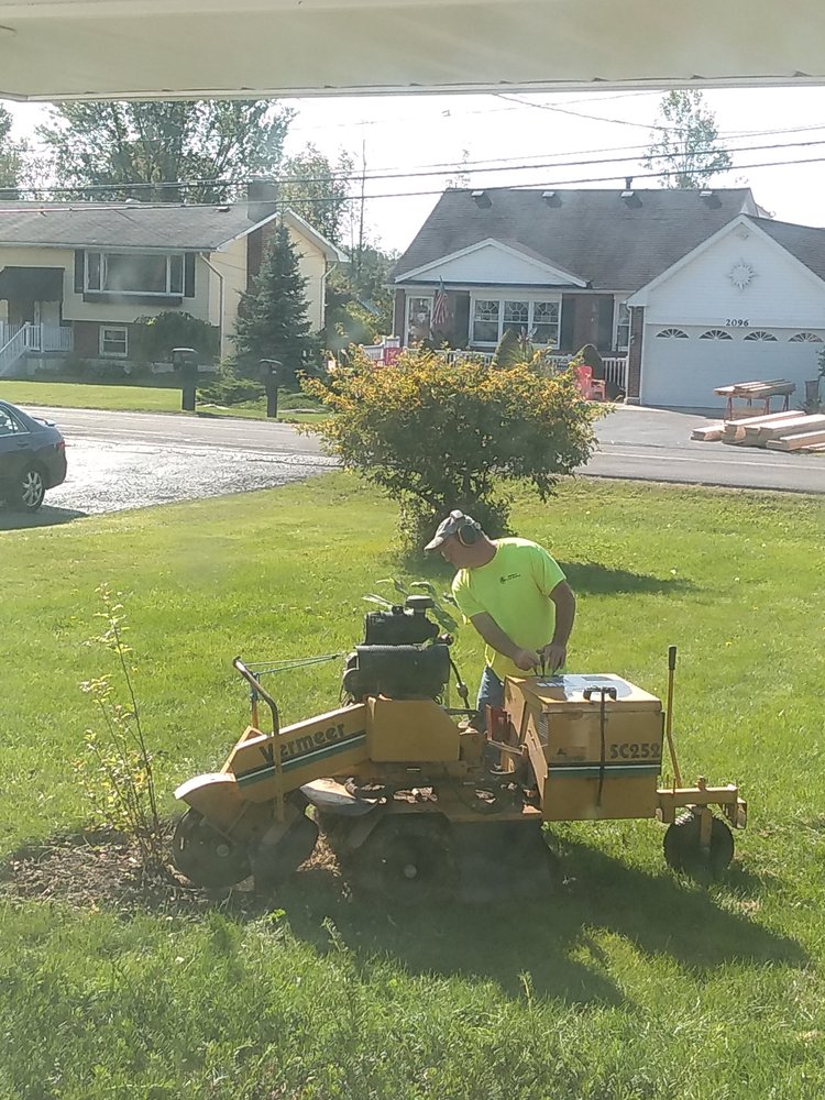 HUCK’S STUMP GRINDING - Updated 05/2025 - 33 Carmen Rd, Buffalo, New ...