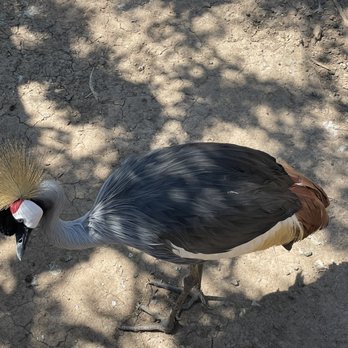 ALAMEDA PARK ZOO - Updated January 2026 - 157 Photos & 53 Reviews ...