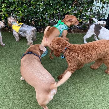 WEST HOLLYWOOD PARK - Updated October 2024 - 113 Photos & 86 Reviews ...