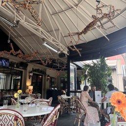 MONARCH - Updated December 2025 - 371 Photos & 301 Reviews - 5701 Main ...