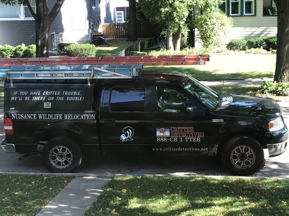 CRITTER DETECTIVES - Updated December 2025 - 17 Reviews - 703 W ...