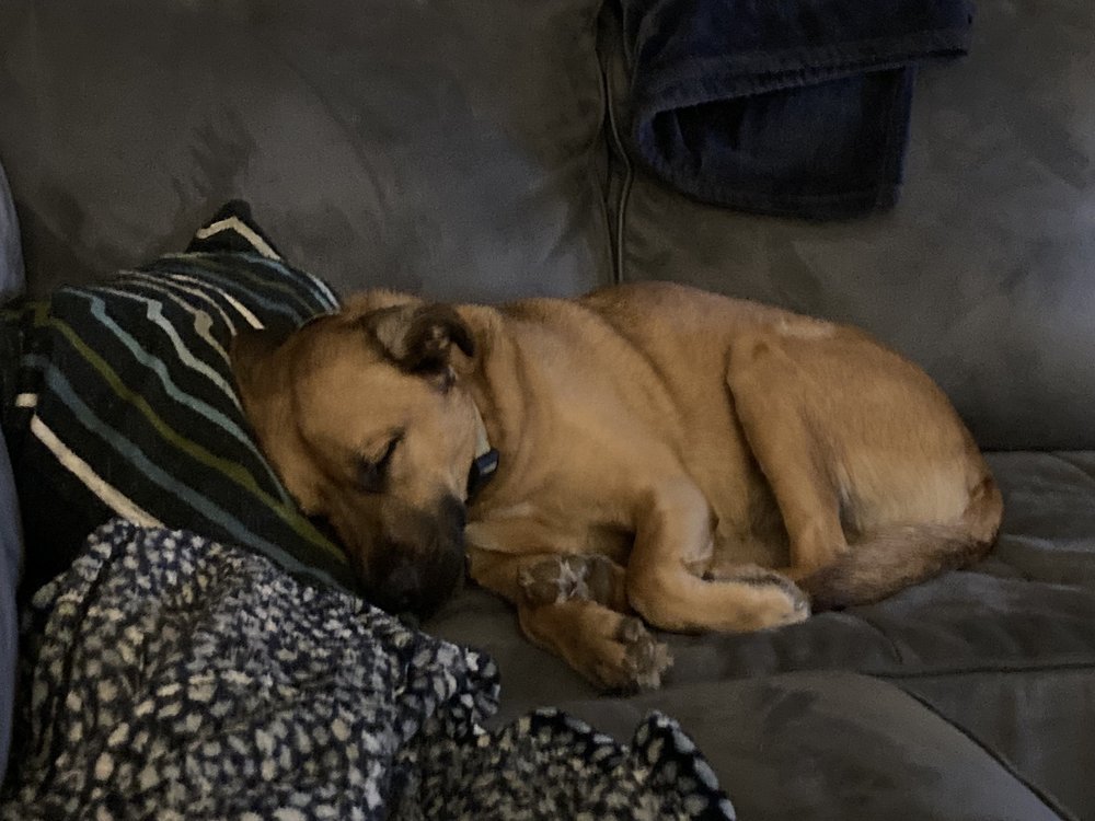 BOW CHIKA WOW TOWN - Updated January 2026 - 65 Photos & 77 Reviews - 27 ...