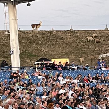 Pacific Amphitheatre Seating Chart View | Cabinets Matttroy