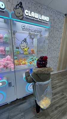CLAW LAND - Updated July 2024 - 60 Photos & 10 Reviews - 2645 White ...