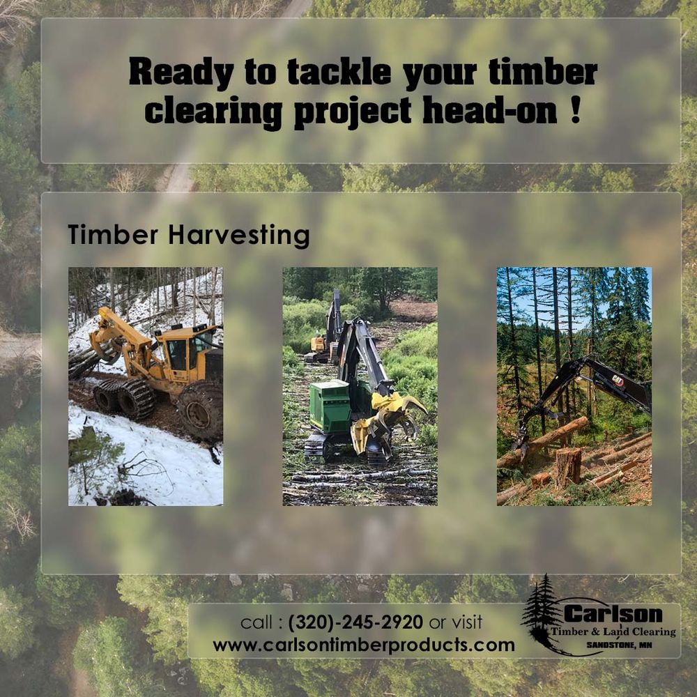 CARLSON TIMBER - Updated October 2025 - Request a Quote - 53778 Fir Ln ...