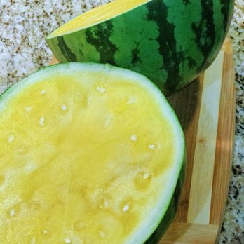 MUSSO FARMS - Updated August 2025 - 33 Photos & 20 Reviews - 35779 ...