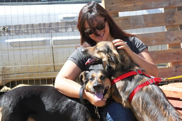 HAPPY TAILS DOG RANCH - Updated February 2025 - 109 Photos & 43 Reviews ...