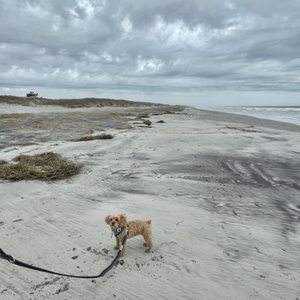 ATLANTIC CITY BEACH AND BOARDWALK, Atlantic City, New Jersey - Pacific ...
