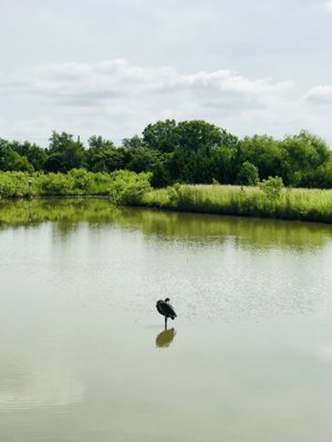 GREAT PLAINS NATURE CENTER - 46 Photos & 10 Reviews - 6232 E 29th St N ...
