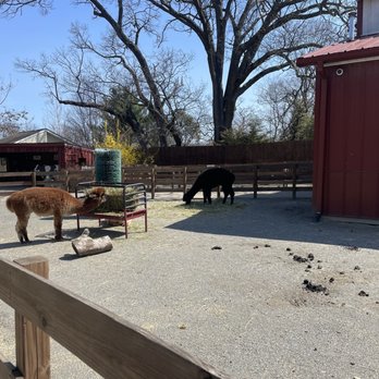 ROGER WILLIAMS PARK ZOO - Updated October 2025 - 1377 Photos & 313 ...