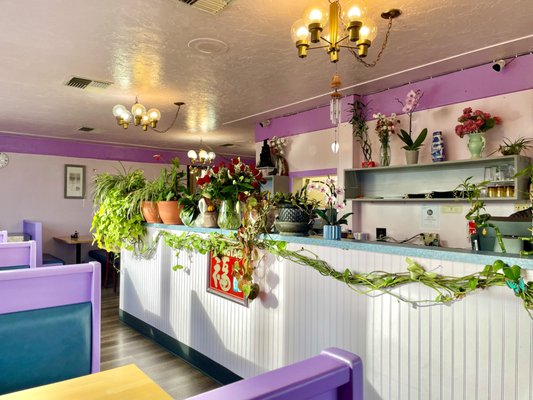 ORCHID GARDENS - Updated December 2025 - 78 Photos & 85 Reviews - 2392 ...