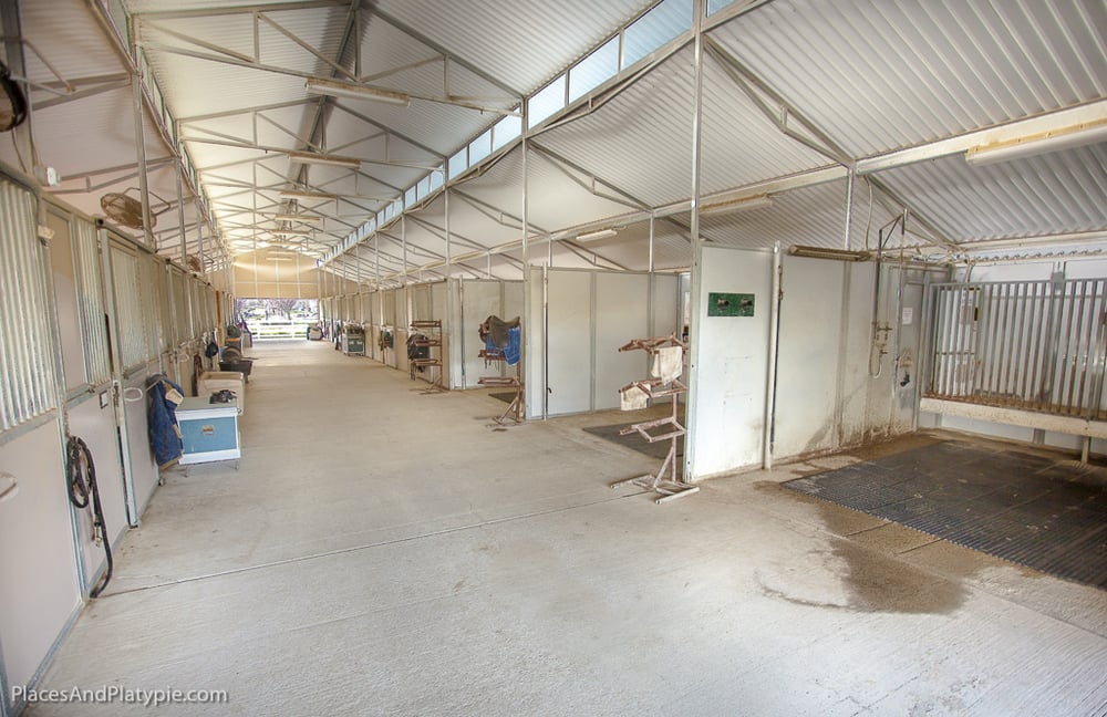 DIAMOND K RANCH - Updated July 2025 - 17 Photos - 1831 Murphy Ln ...