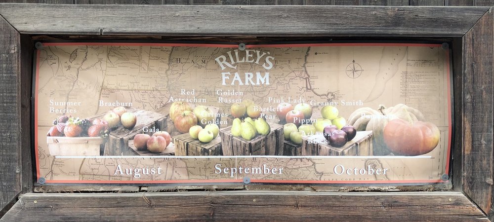 RILEY’S APPLE FARM - Updated November 2024 - 298 Photos & 190 Reviews ...