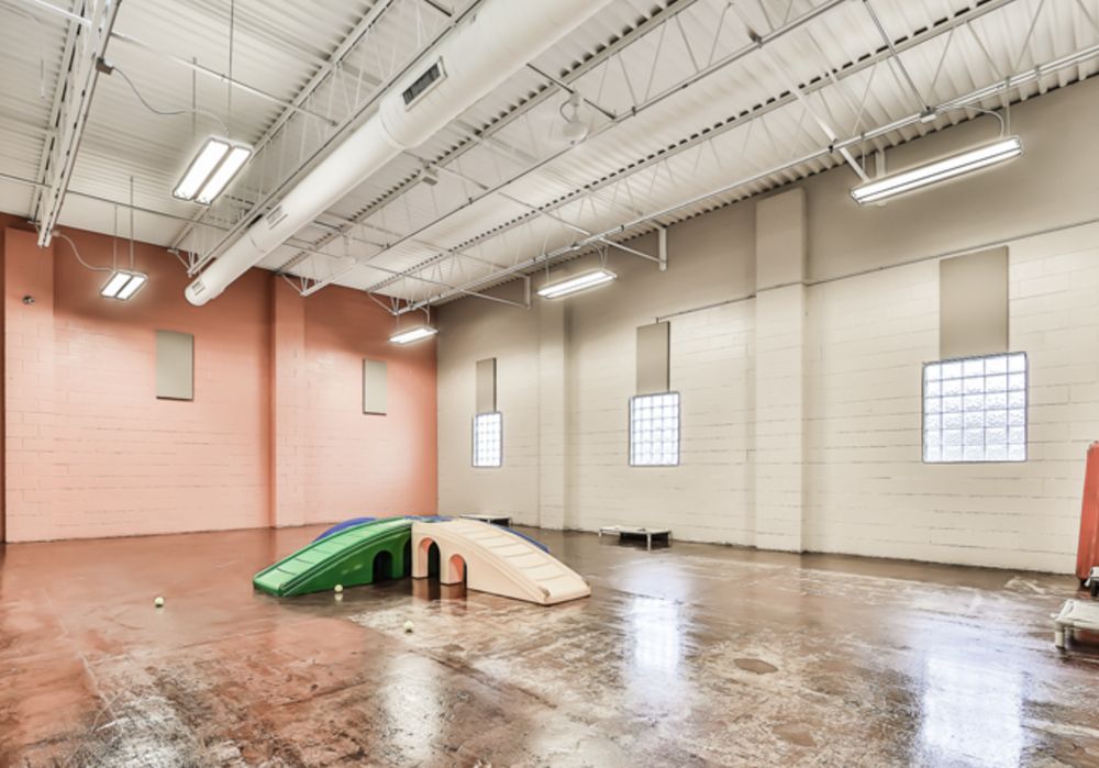 PRESTIGE DOG TRAINING - Updated May 2026 - 26 Photos - 348 N Laflin St ...